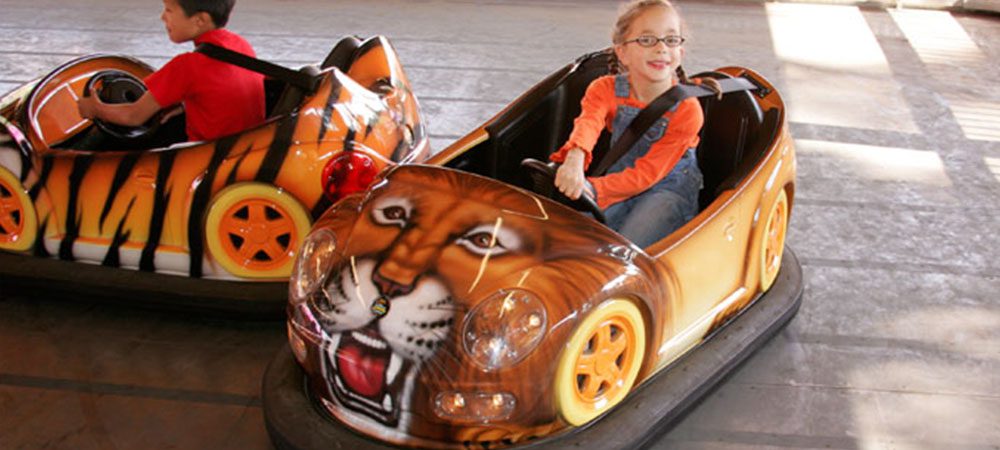 Traffic Jam – Como Town | St. Paul, MN